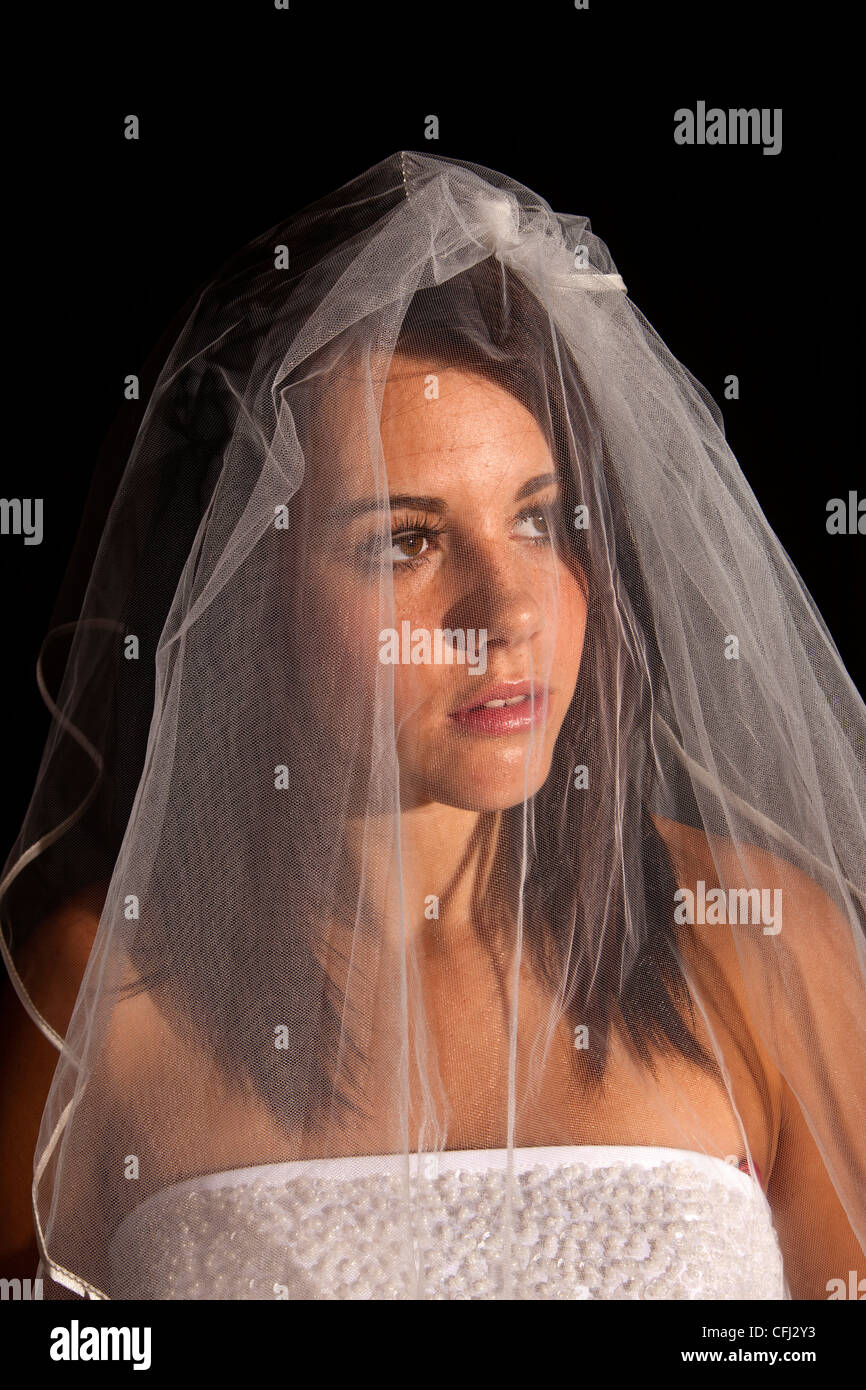 Bride with veil Stock Photo - Alamy