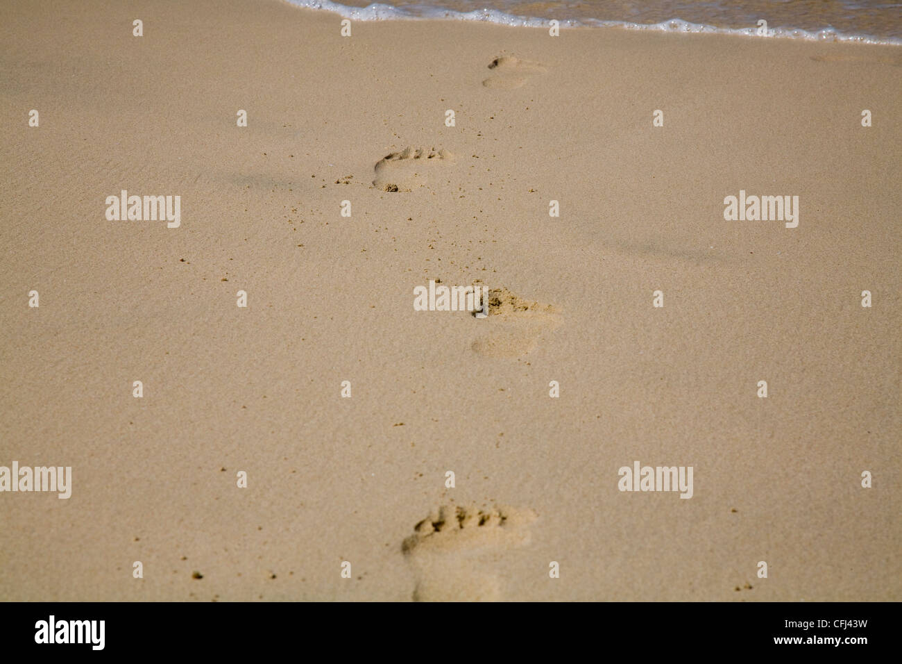 Close up footprints heading into sea Stock Photo - Alamy