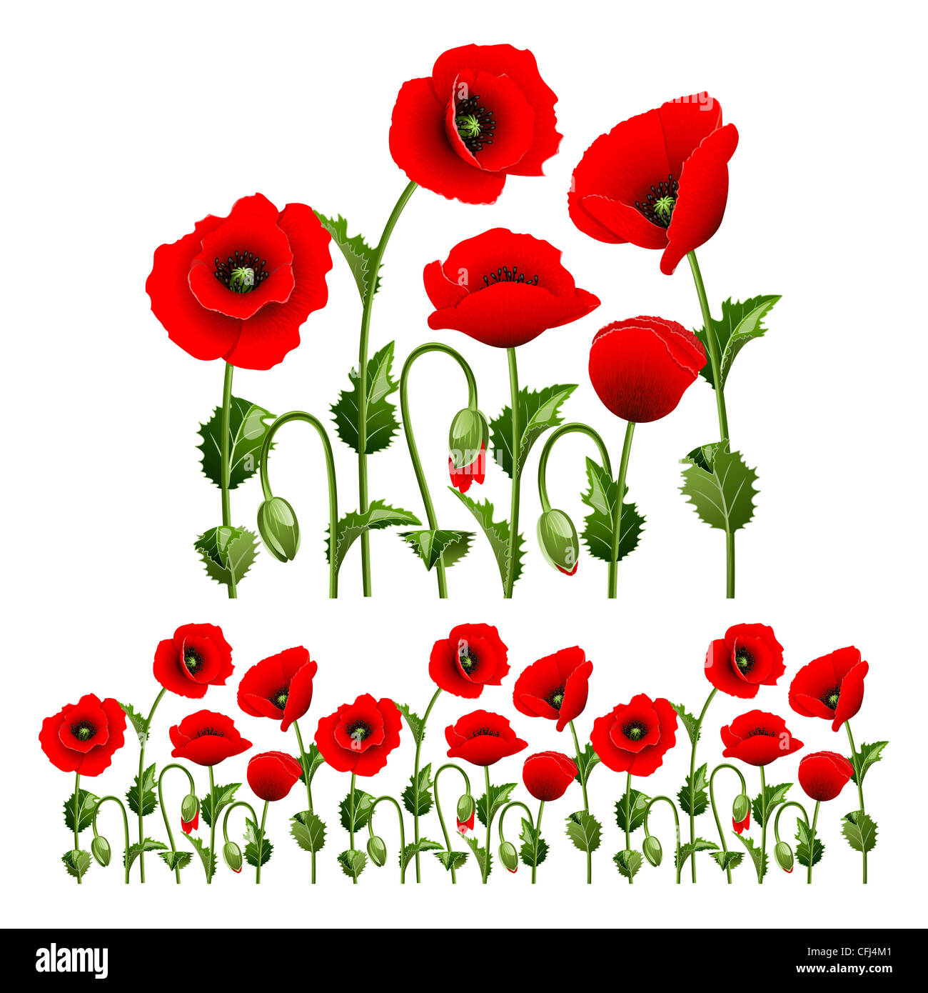 Herbaceous border Cut Out Stock Images & Pictures - Alamy