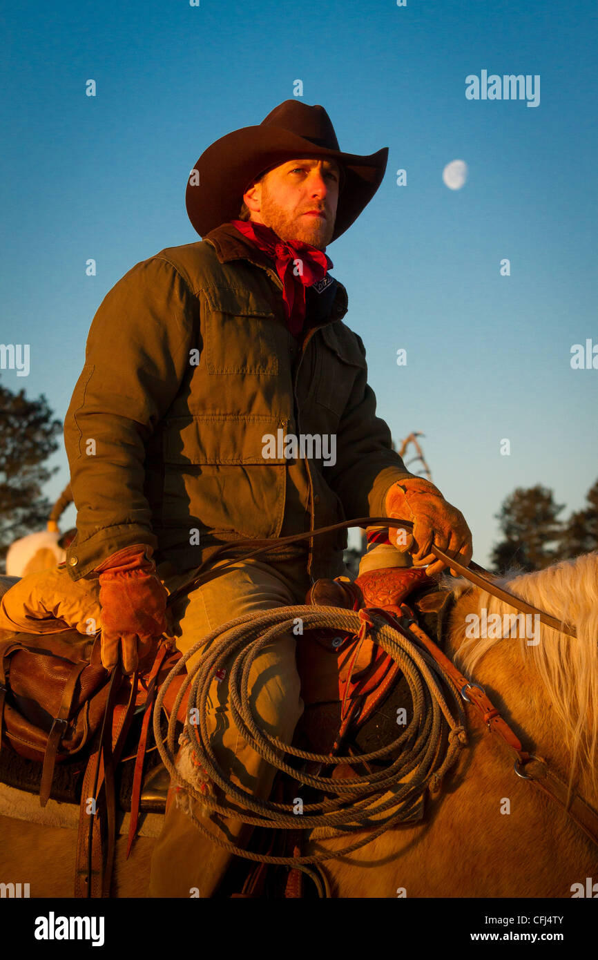 Cowboy on his horse on a ranch in northeastern Wyoming Stock Photo - Alamy