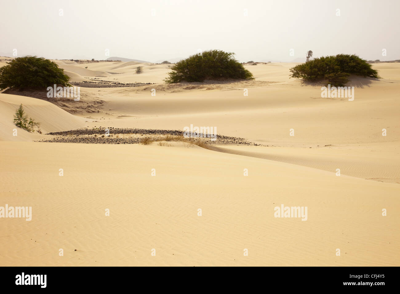 Boa Vista Cape Verde Impressive sand dunes of Viana desert in centre of ...