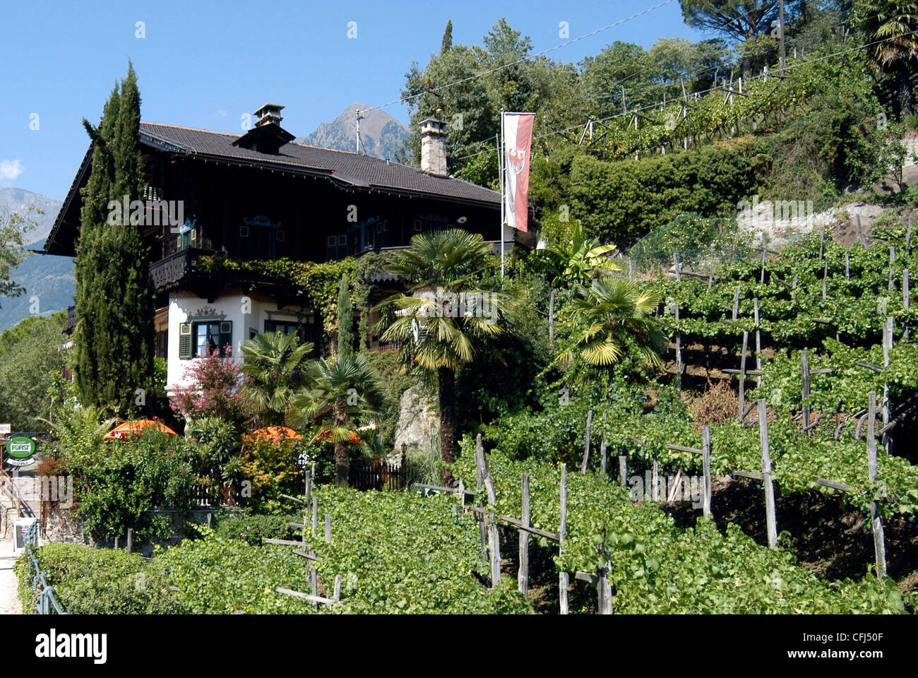Tappeiner promenade of Merano in South Tyrol Stock Photo - Alamy