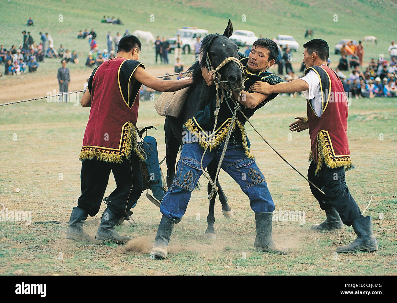 Altai people catching horses in El Oyun festival , Ukok Plain , Altai ...