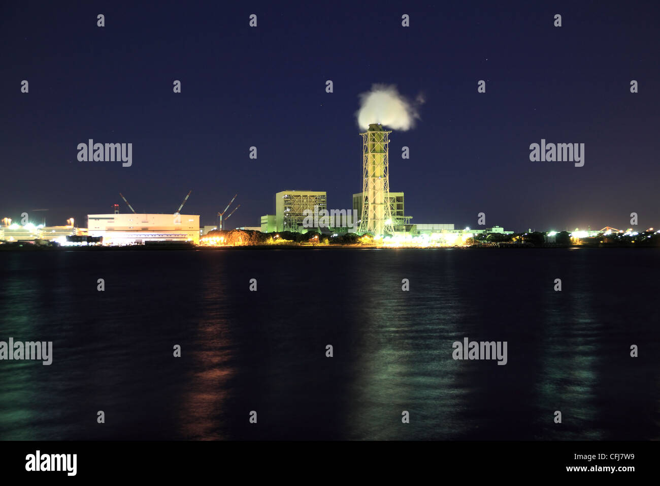Bay area plant hi-res stock photography and images - Alamy