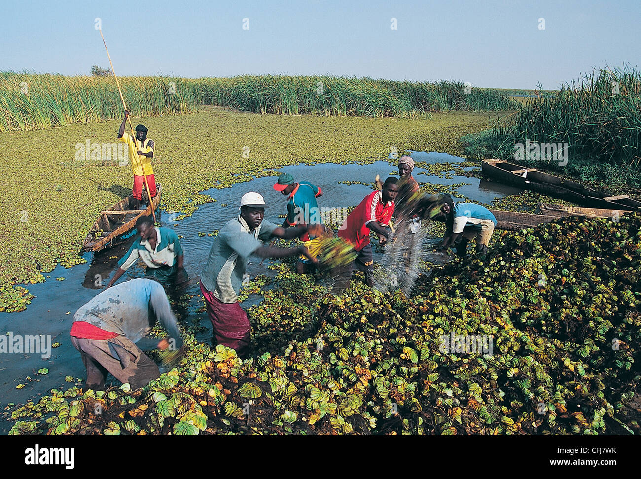 People blocking hi-res stock photography and images - Alamy