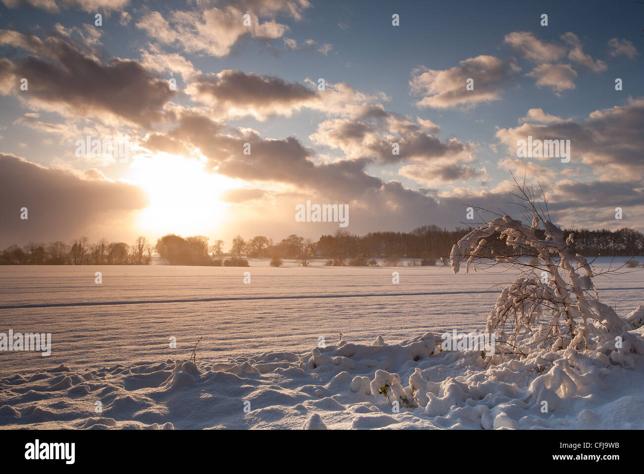 In the bleak midwinter hi-res stock photography and images - Alamy