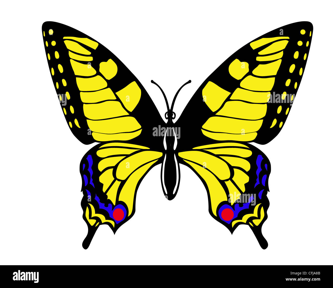 vector drawing butterfly swallowtail on white background Stock Photo ...