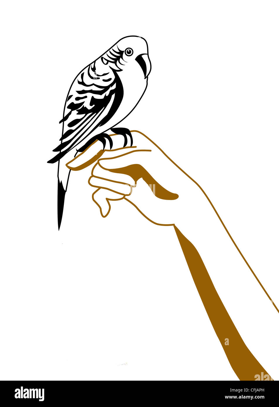 vector silhouette of the parrot on hand Stock Photo - Alamy