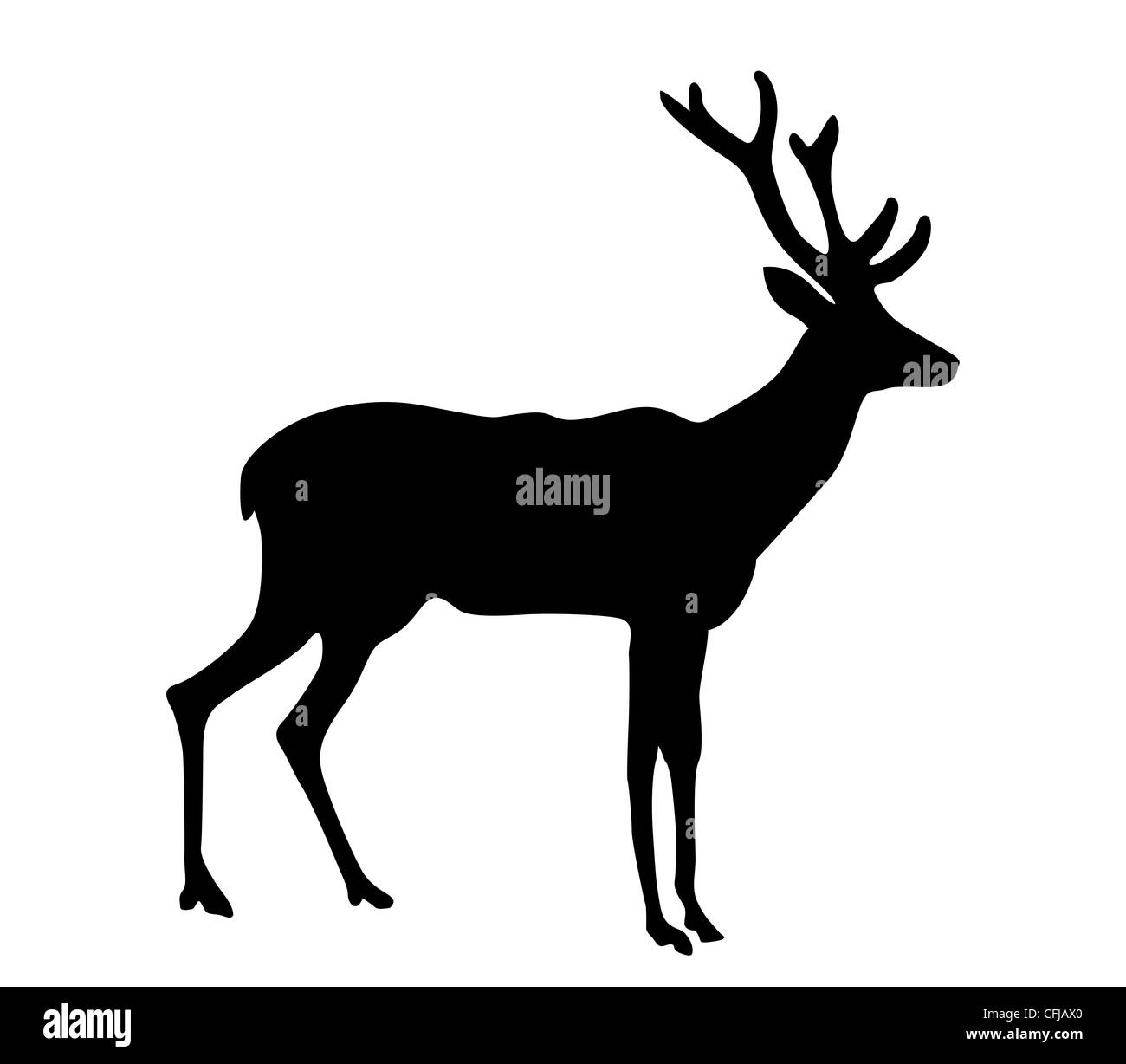 vector silhouette deer on white background Stock Photo - Alamy
