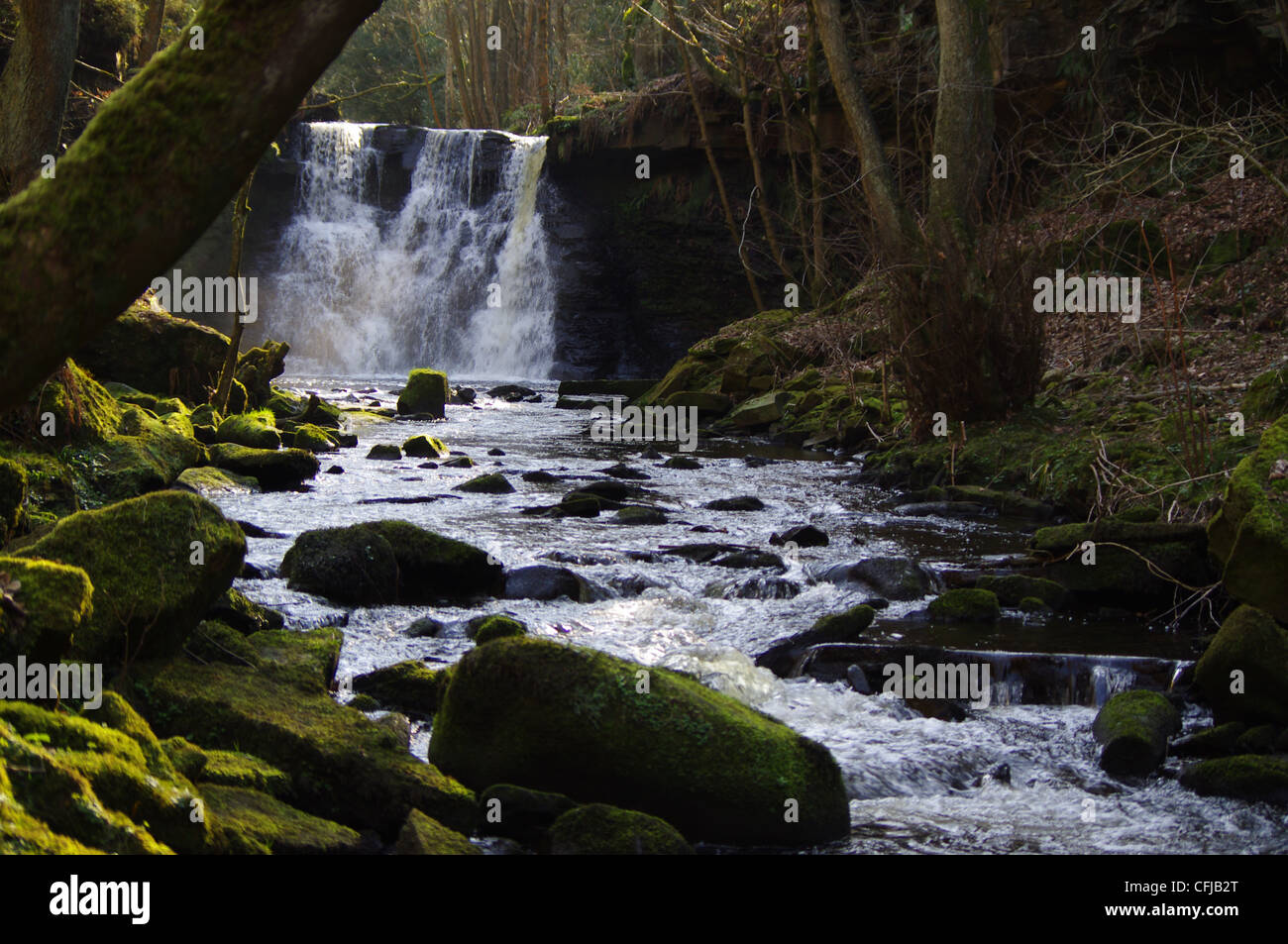 Woodland waters hi-res stock photography and images - Alamy