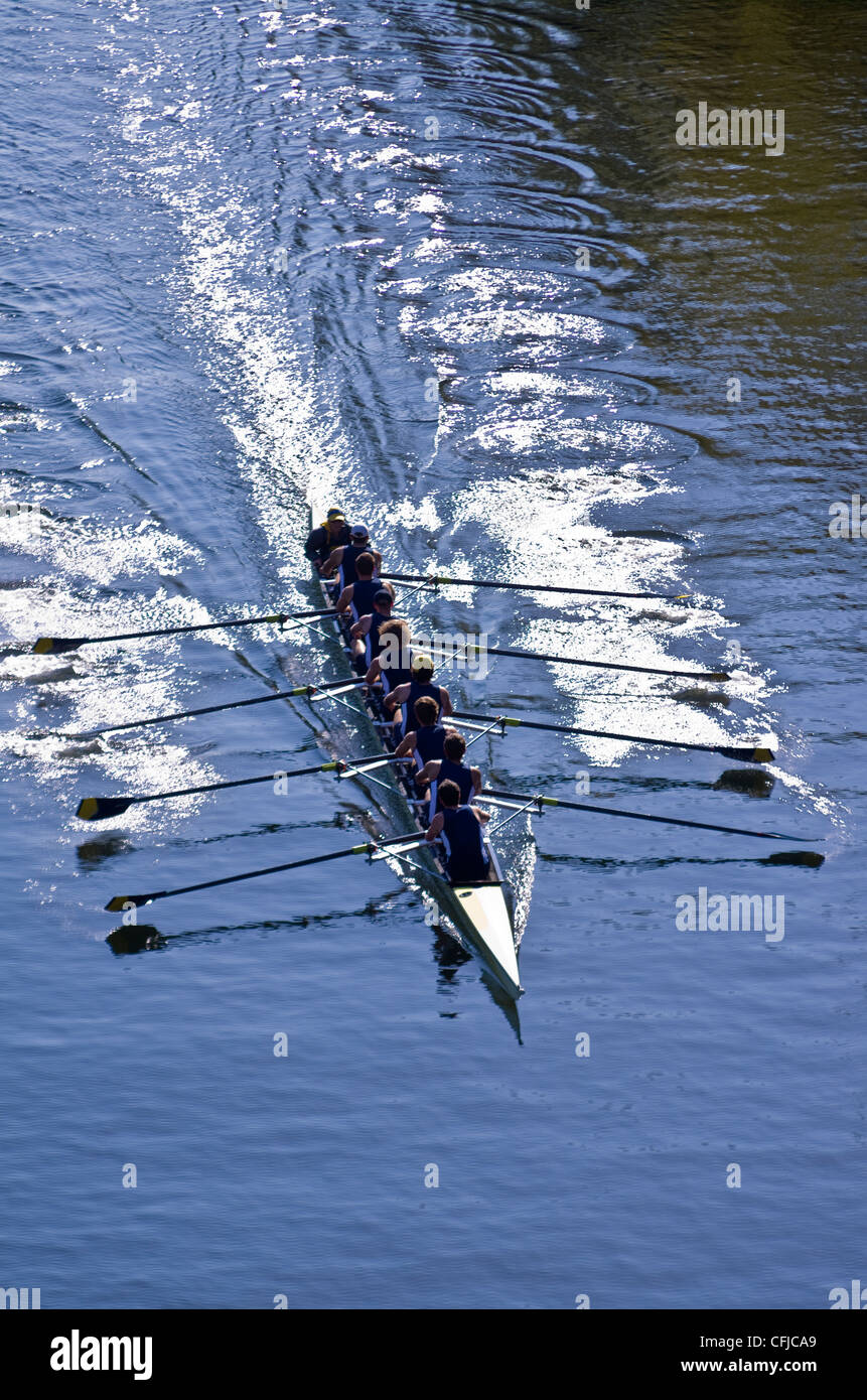 University of California 8-oar men's crew compete at the University of ...