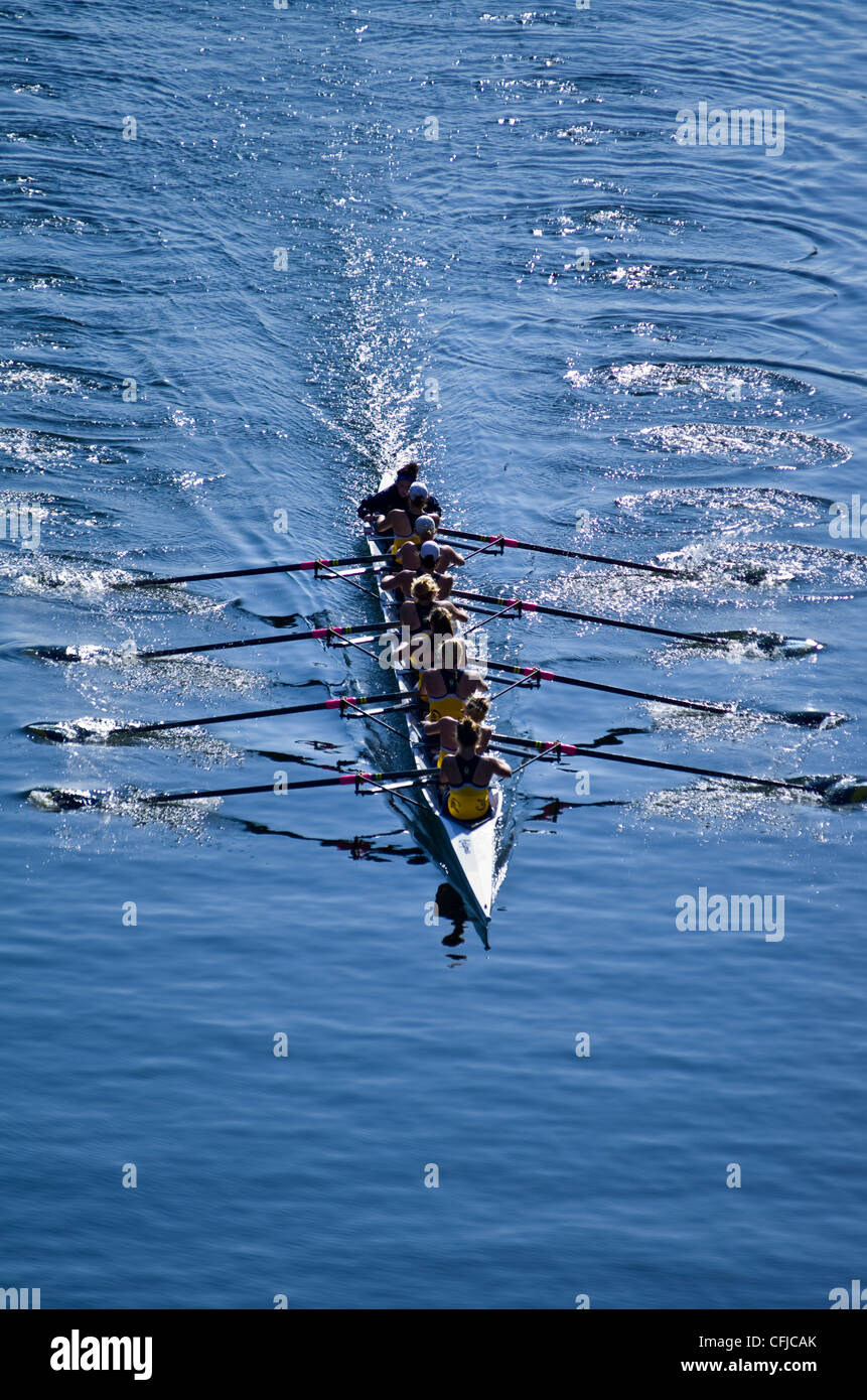 8 Rowing Shell High Resolution Stock Photography and Images - Alamy