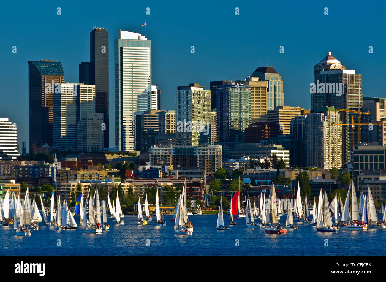 Sailboats on Lake Union under Seattle city skyline Stock Photo - Alamy