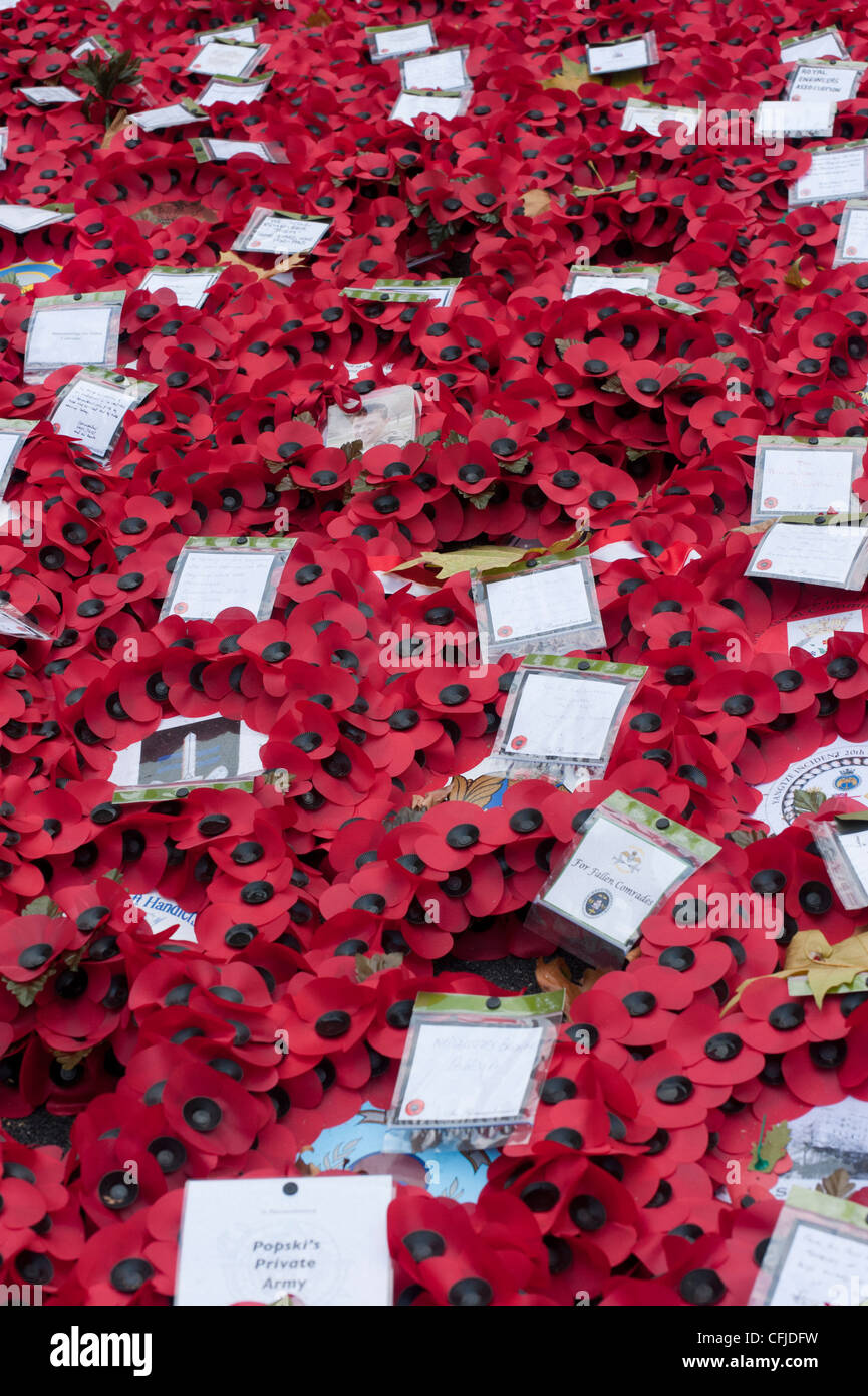 Poppies cenotaph hi-res stock photography and images - Alamy
