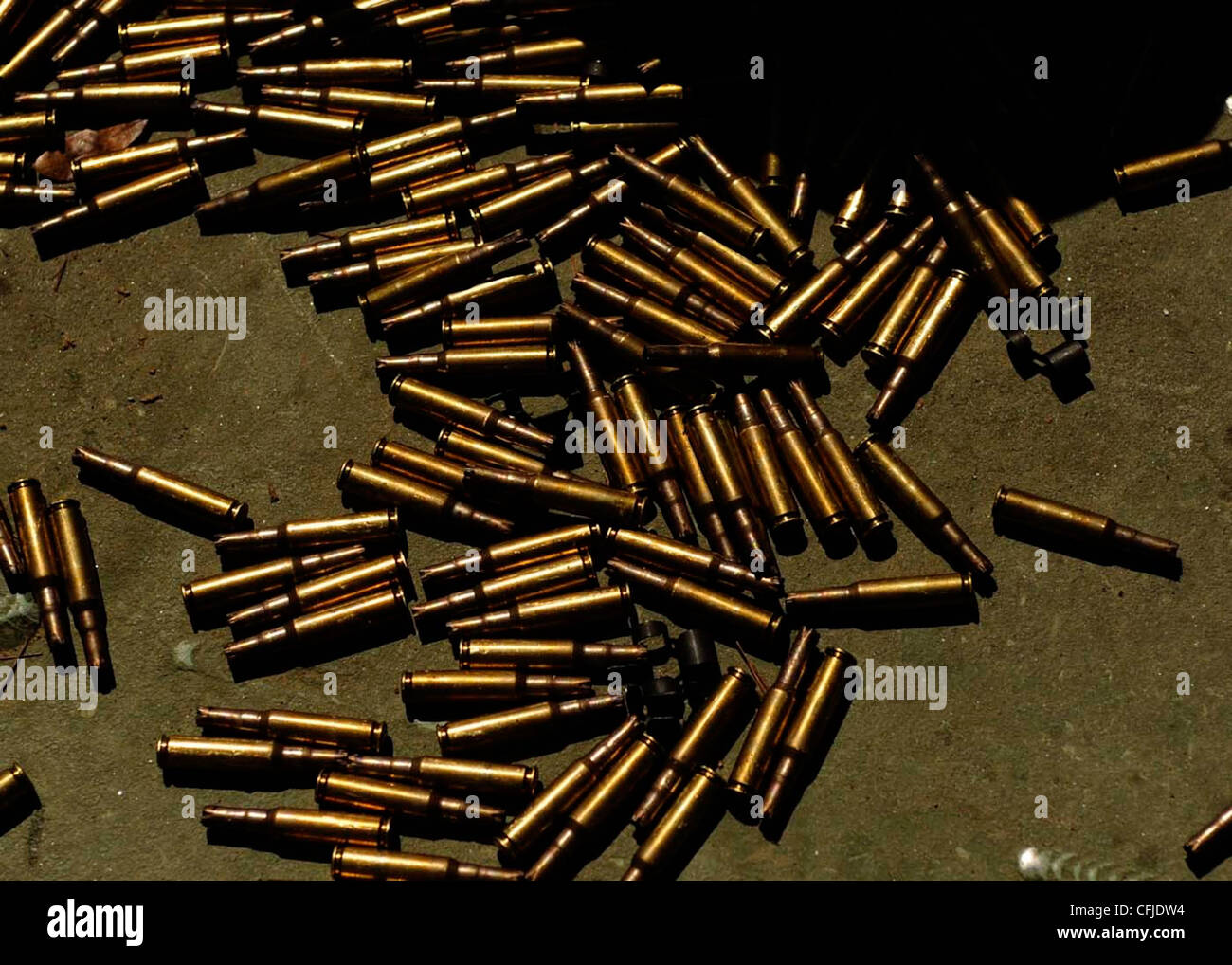 Bullet Shell Wallpaper