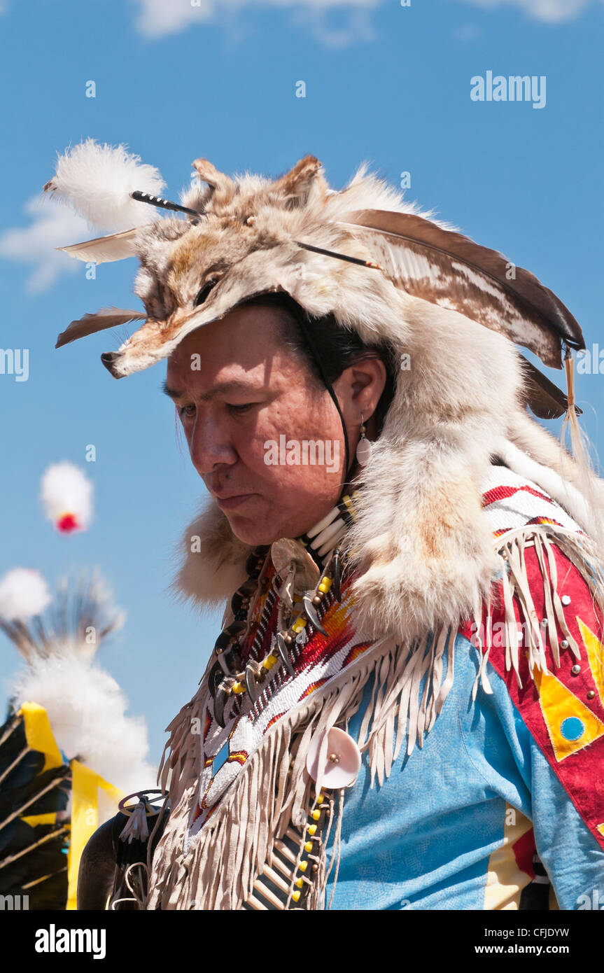 Blackfoot man in traditional regalia, Siksika Nation Pow-wow, Gleichen ...