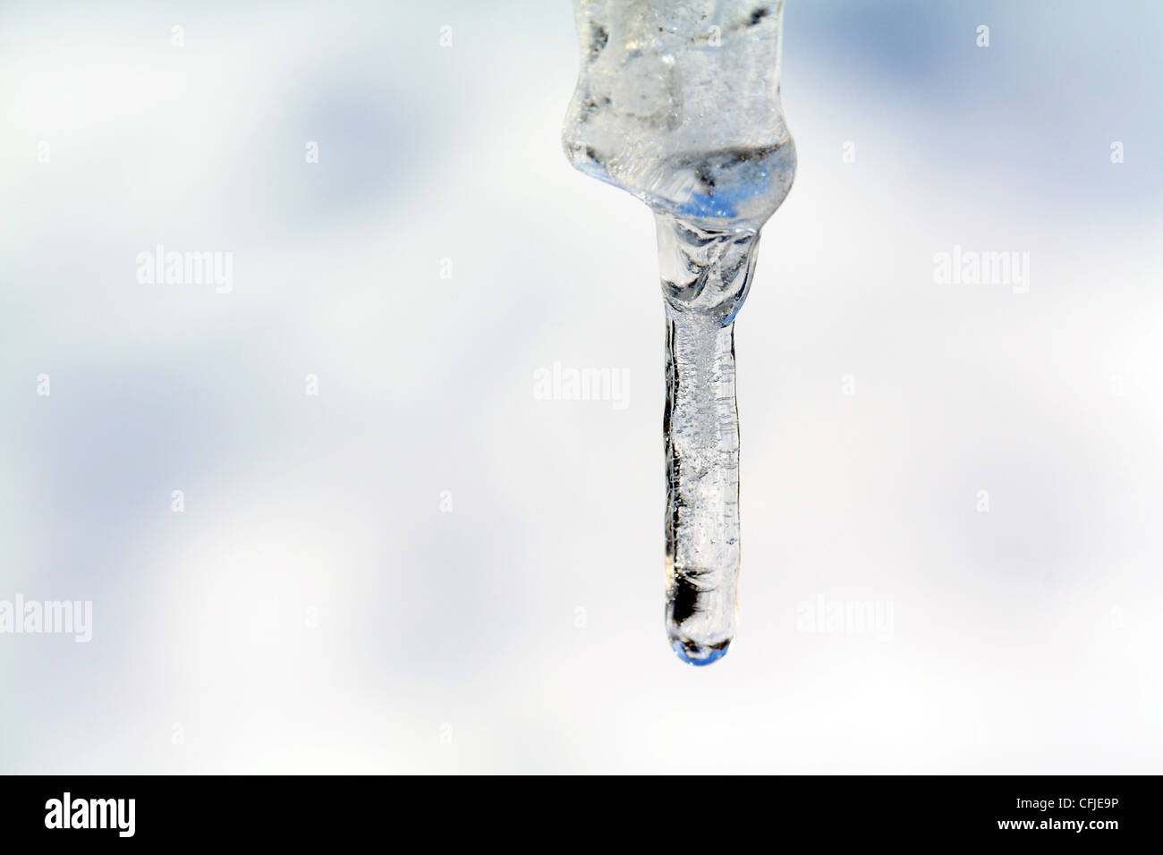 transparent icicle on white background Stock Photo - Alamy