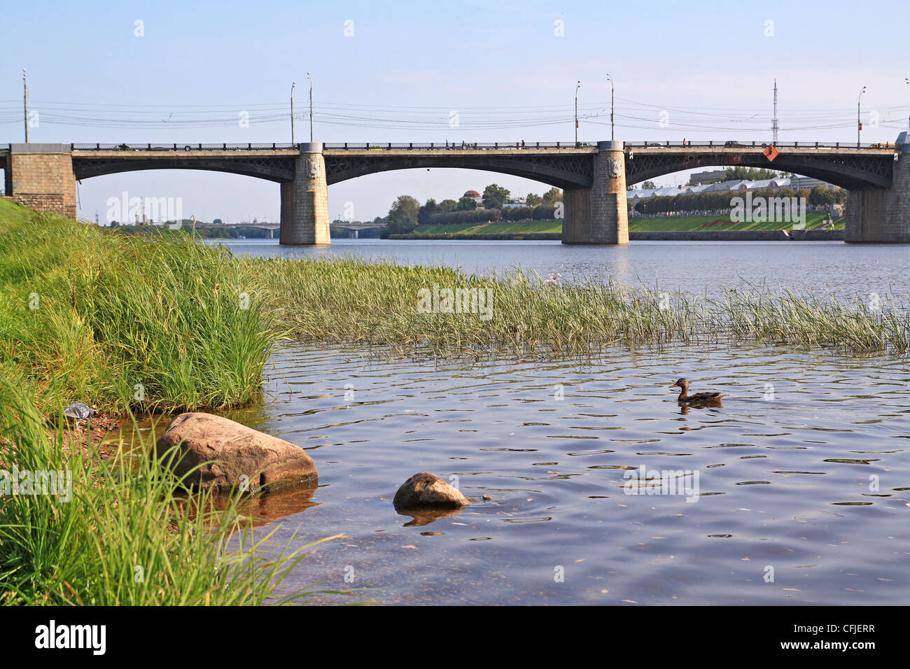 river duck near town bridge Stock Photo - Alamy