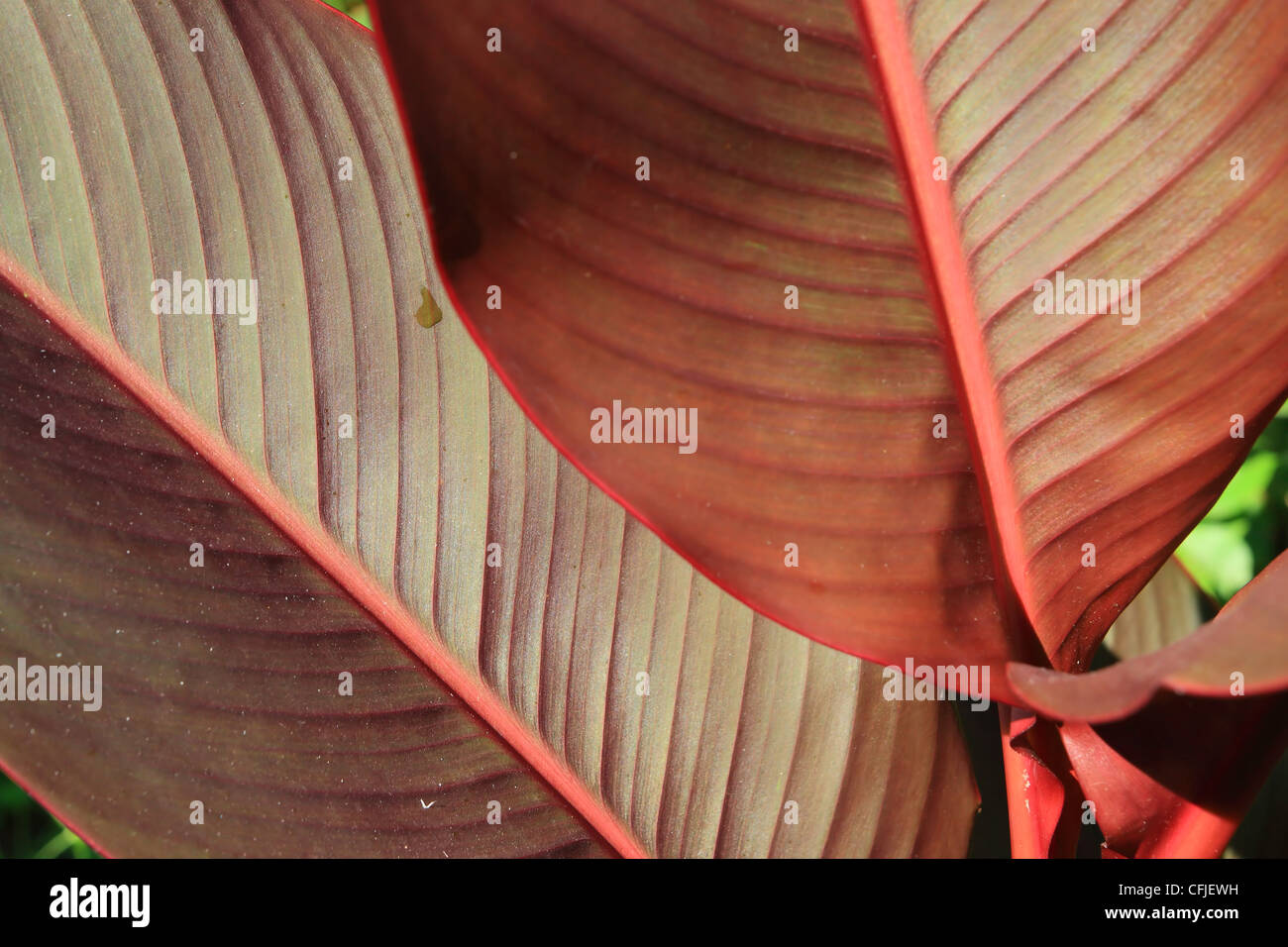 red sheet texture Stock Photo - Alamy