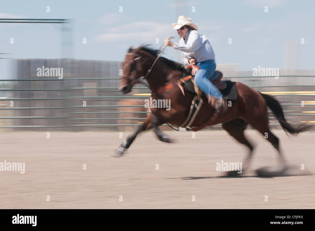 Pole bending, Siksika Nation Rodeo, Gleichen, Alberta, Canada Stock ...
