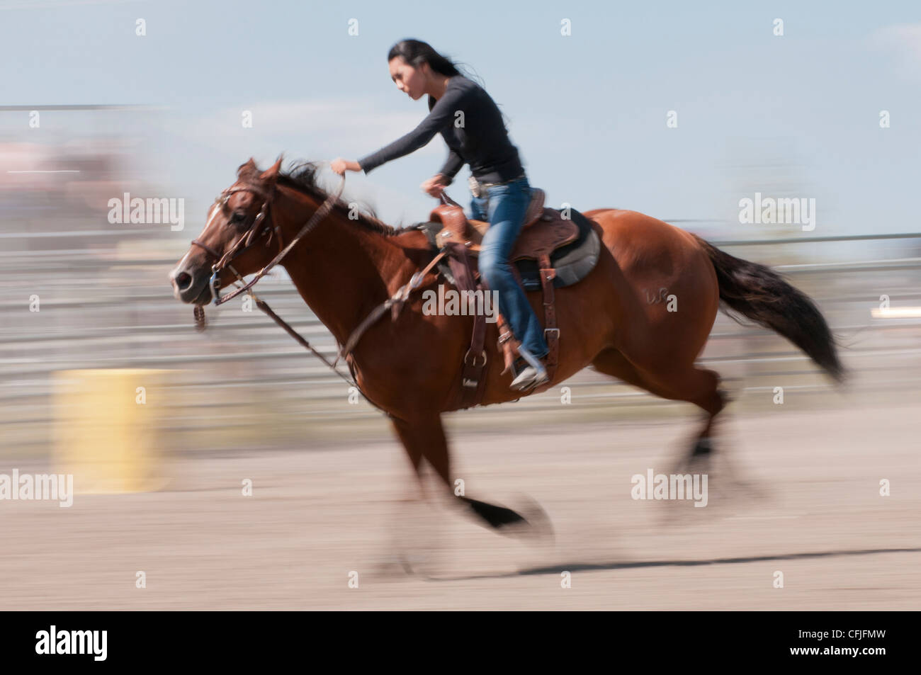 Riding Horse Alberta High Resolution Stock Photography and Images - Alamy
