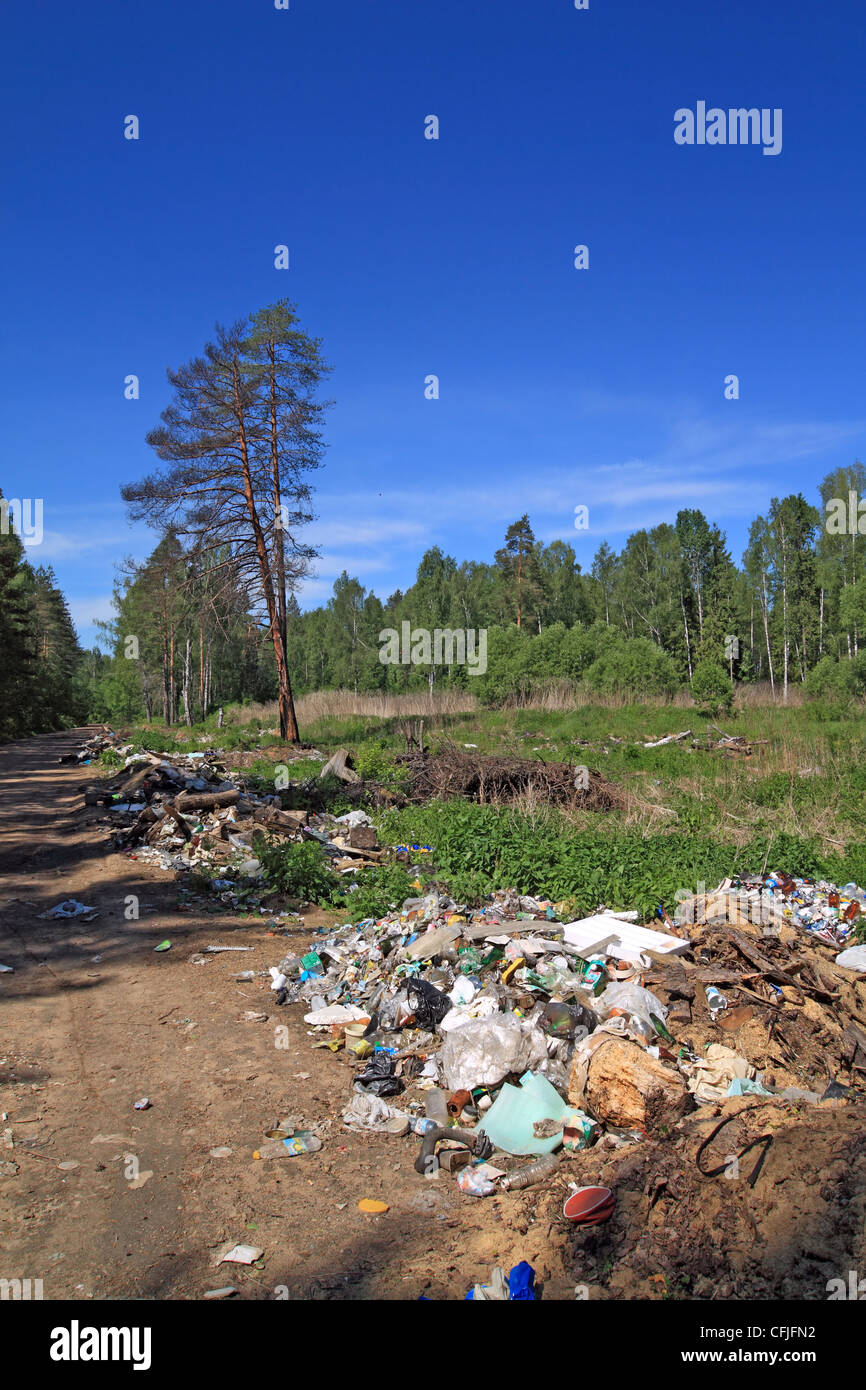 garbage pit in pine wood Stock Photo - Alamy