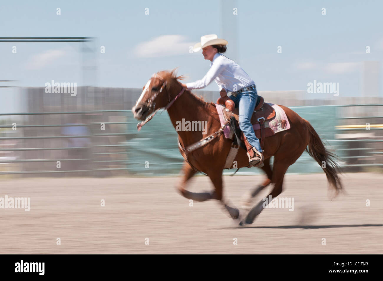 Pole bending, Siksika Nation Rodeo, Gleichen, Alberta, Canada Stock ...