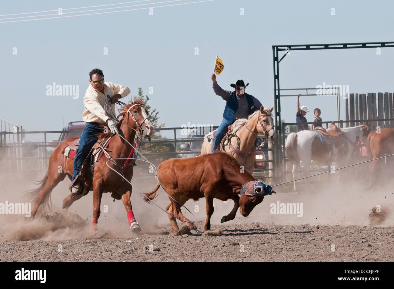 Team calf roping hi-res stock photography and images - Alamy