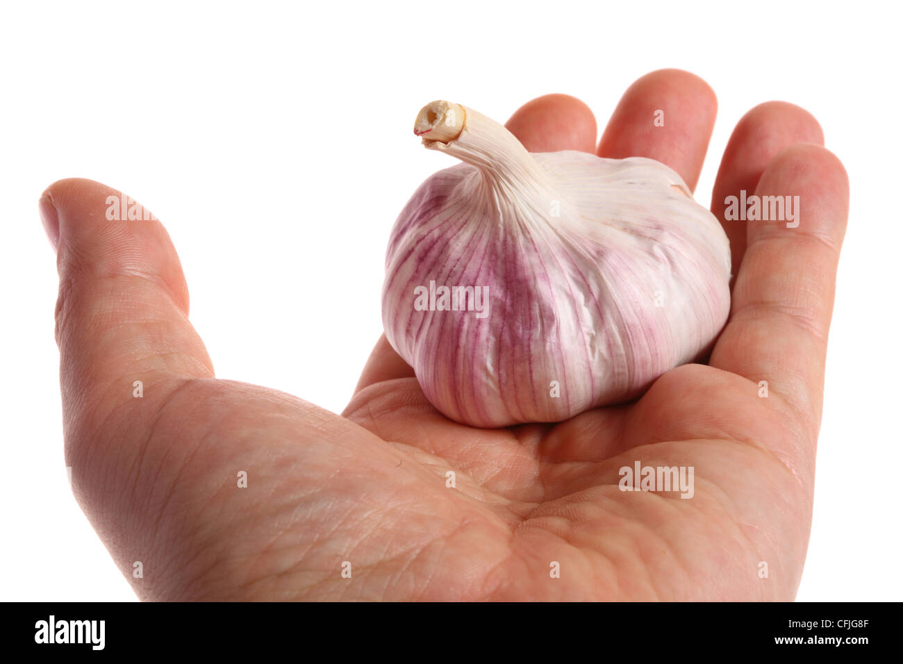 Garlic in hand isolated on white background Stock Photo - Alamy