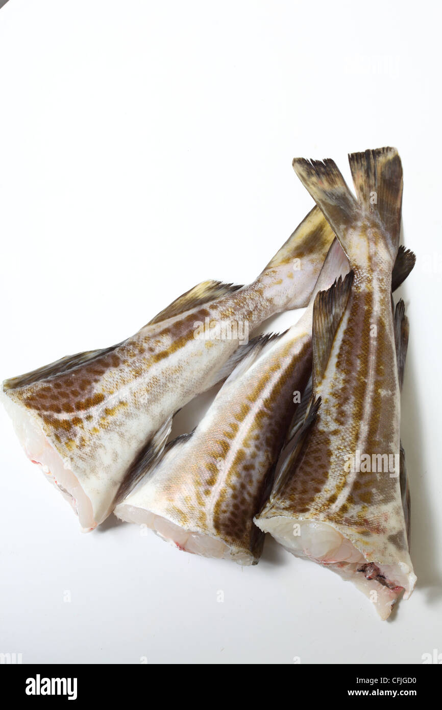 Raw cod fish fillets in kitchen on white background Stock Photo - Alamy