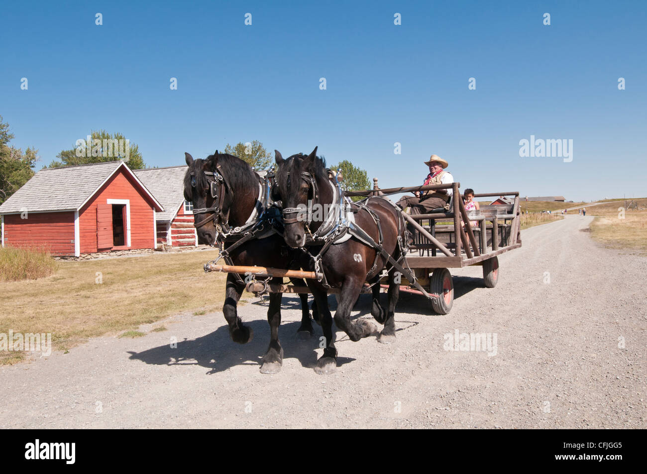 Horse drawn carriage, Percheron horses, Bar U Ranch, National Historic ...