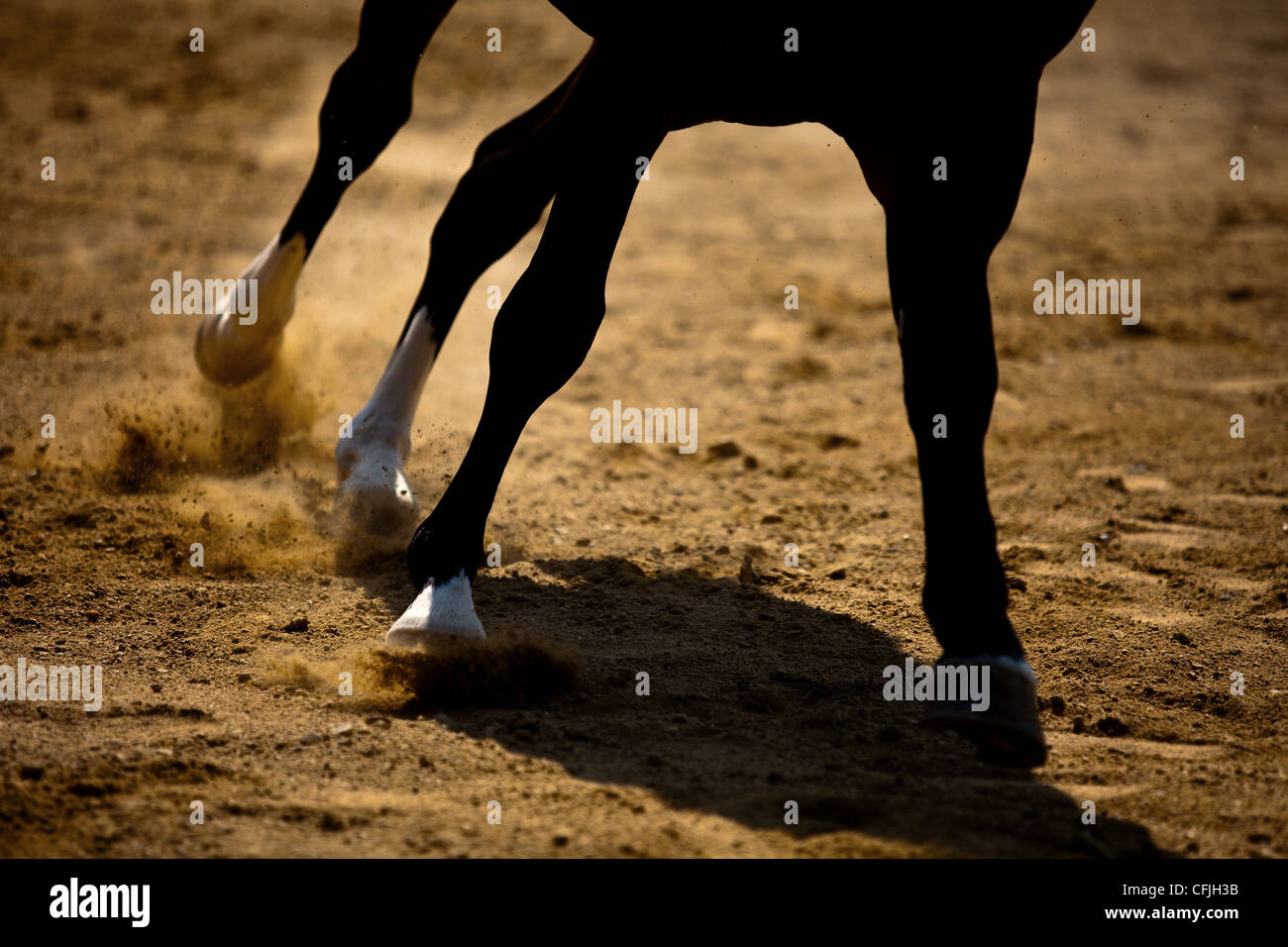 Galloping horse hooves hi-res stock photography and images - Alamy