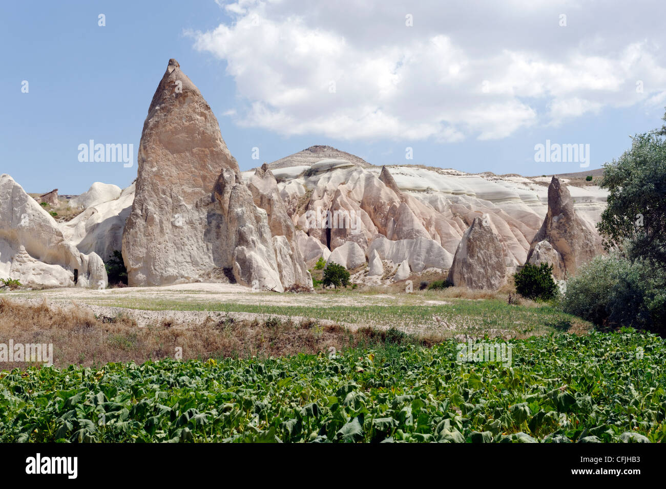 Cappadocia. Turkey. View of conical shaped fairy chimneys and the ...