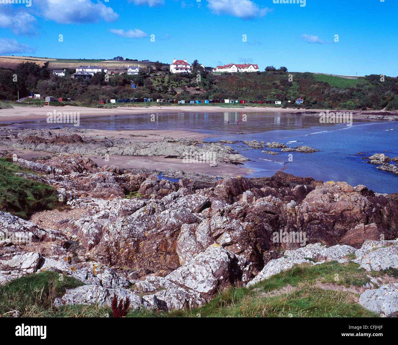 Beach at Coldingham Bay, Scotland, UK Stock Photo - Alamy