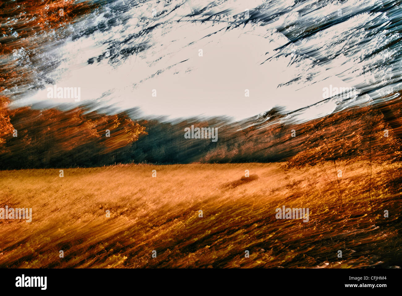 Blurred nature image hi-res stock photography and images - Alamy