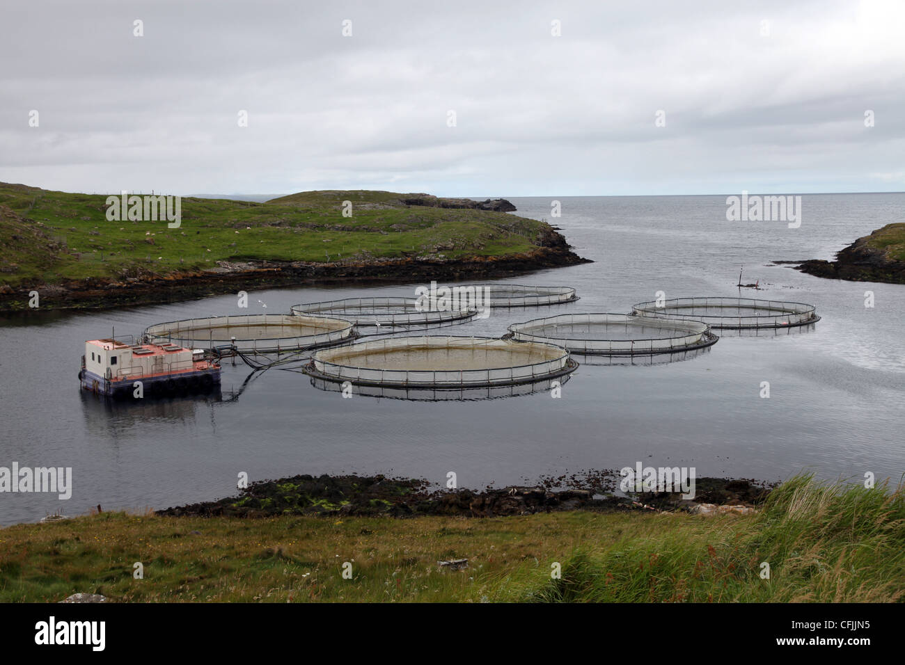 Fish farms scotland hi-res stock photography and images - Alamy