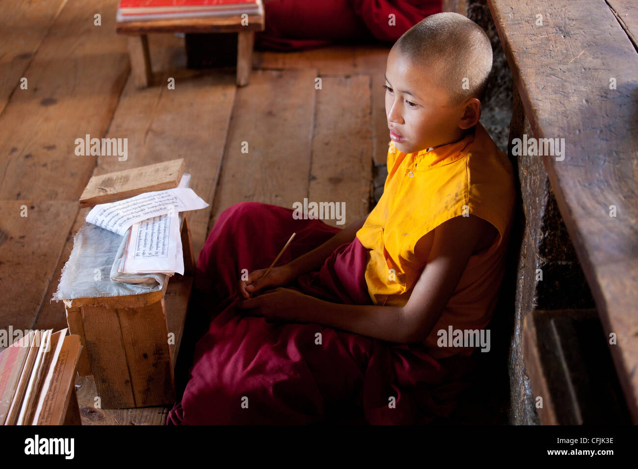 Young Buddhist Monks Studying