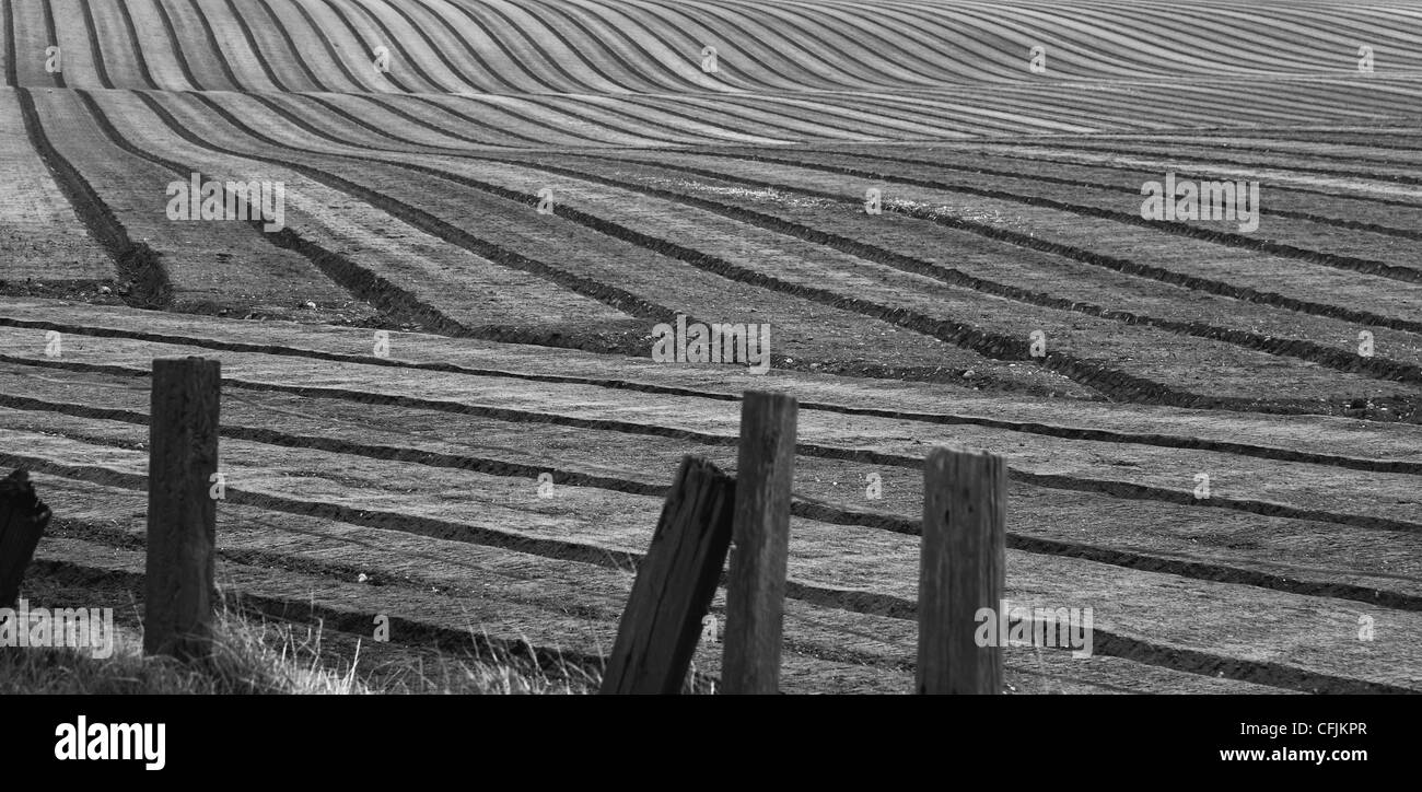 Crop rotation Black and White Stock Photos & Images - Alamy