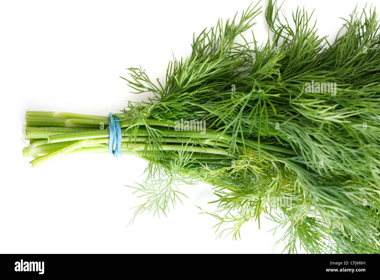 Delicious fresh dill from the garden Stock Photo - Alamy