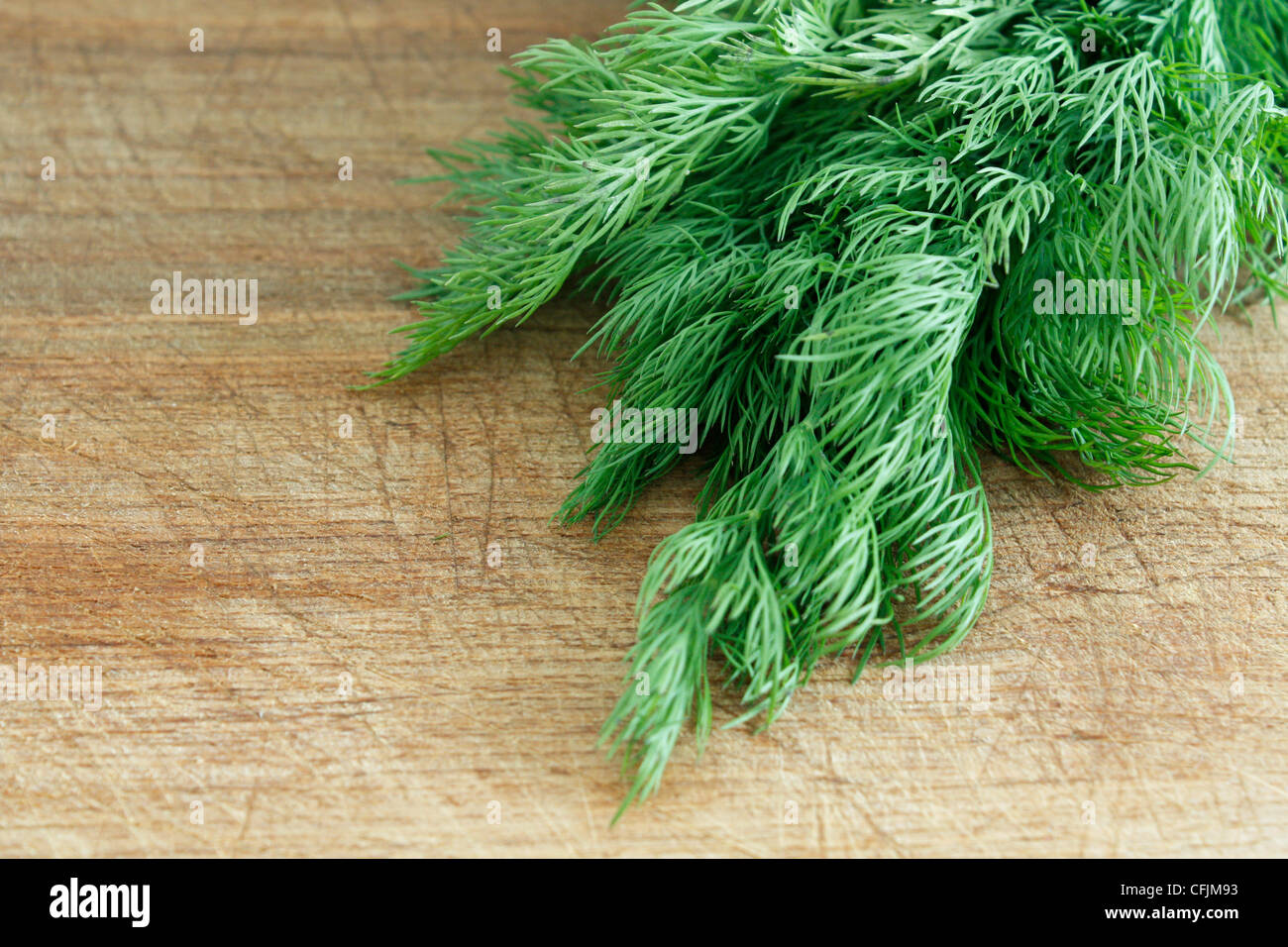 Delicious fresh dill from the garden Stock Photo - Alamy