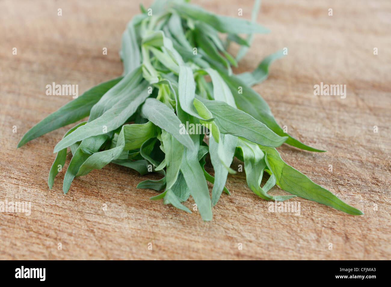 Estragon garden hi-res stock photography and images - Alamy