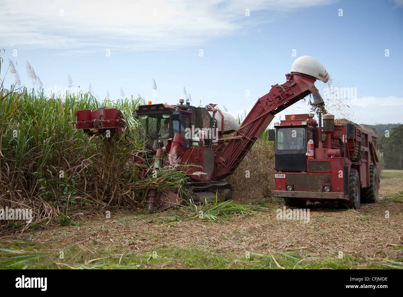Sugar cane harvesting australia hi-res stock photography and images - Alamy