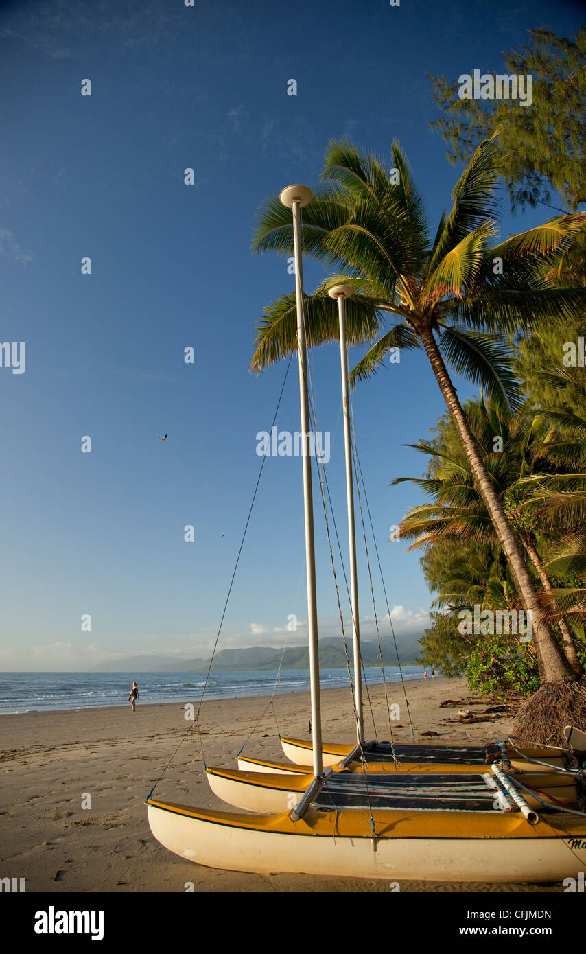 Four Mile Beach with coconut palm trees, Port Douglas, Queensland ...