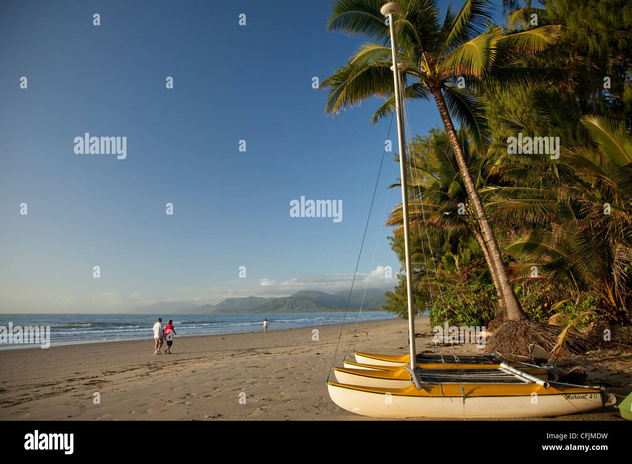 Four Mile Beach with coconut palm trees, Port Douglas, Queensland ...