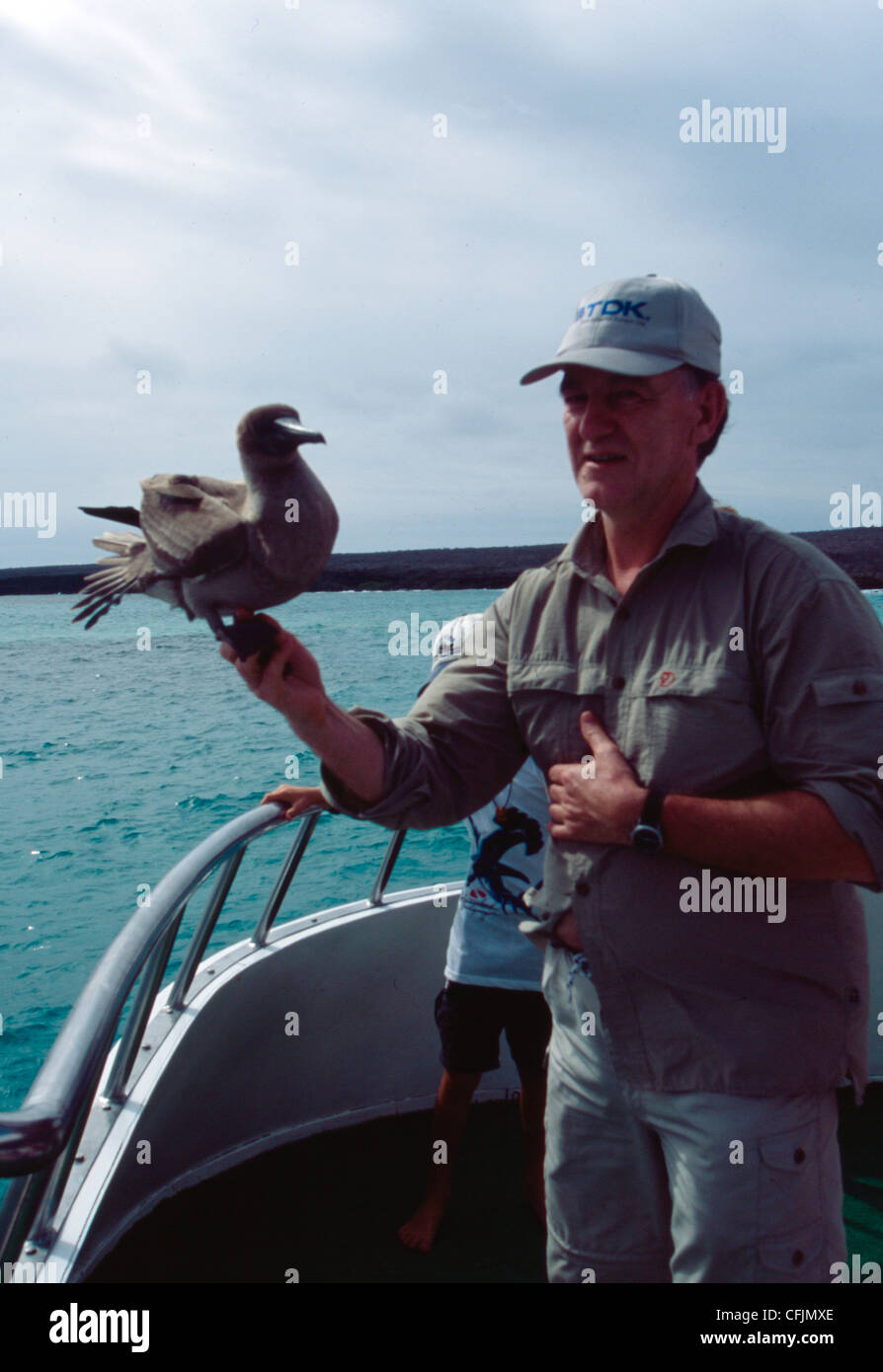 A Blue footed bobby chick held by of a man Stock Photo - Alamy