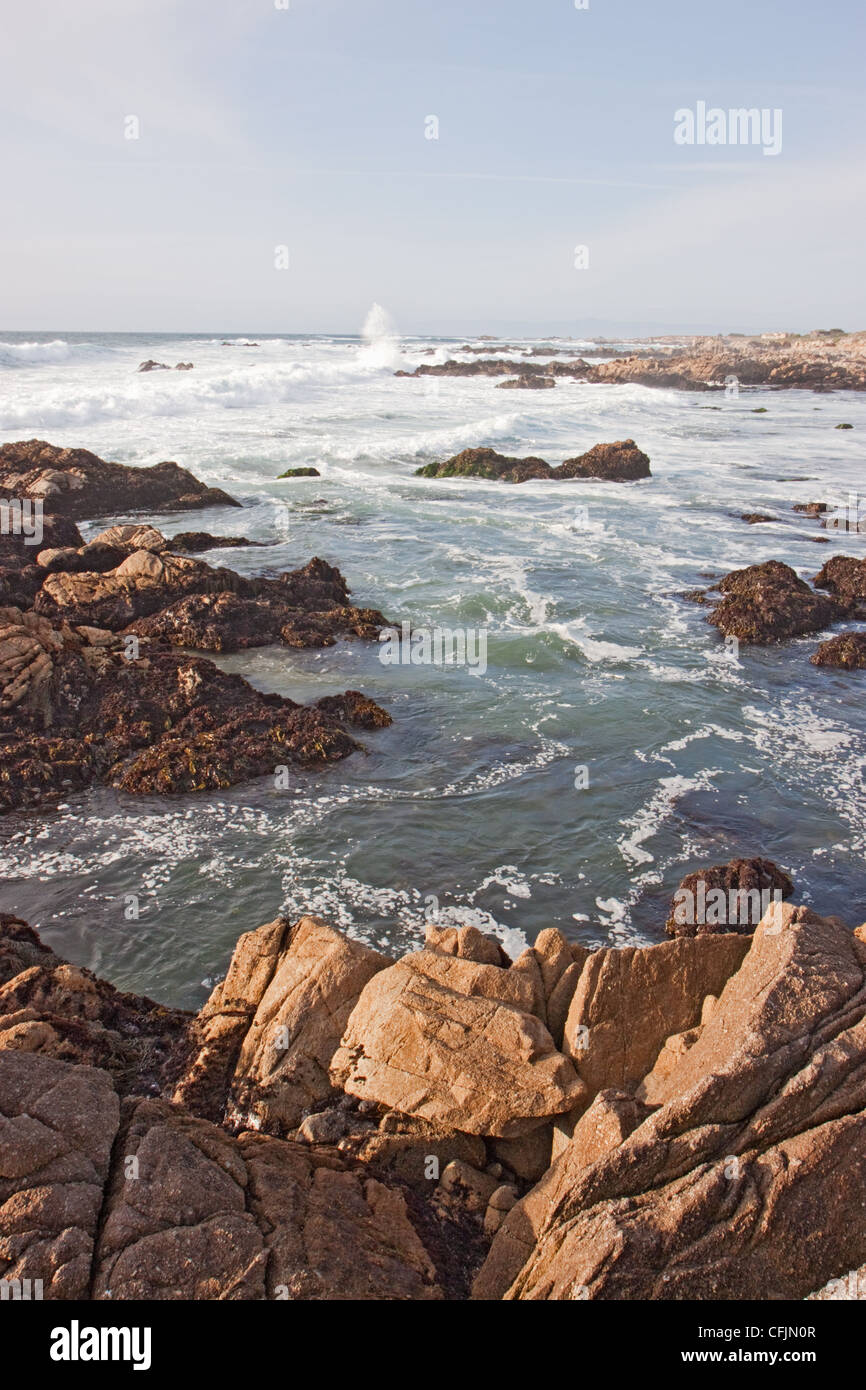 Rugged point marine park hi-res stock photography and images - Alamy