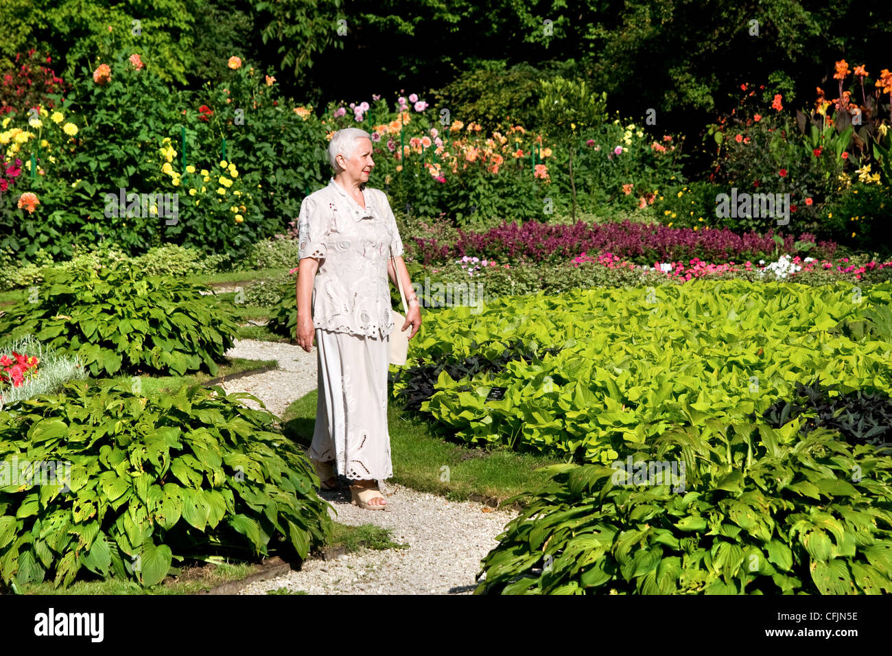 Senior woman walking in park hi-res stock photography and images - Alamy