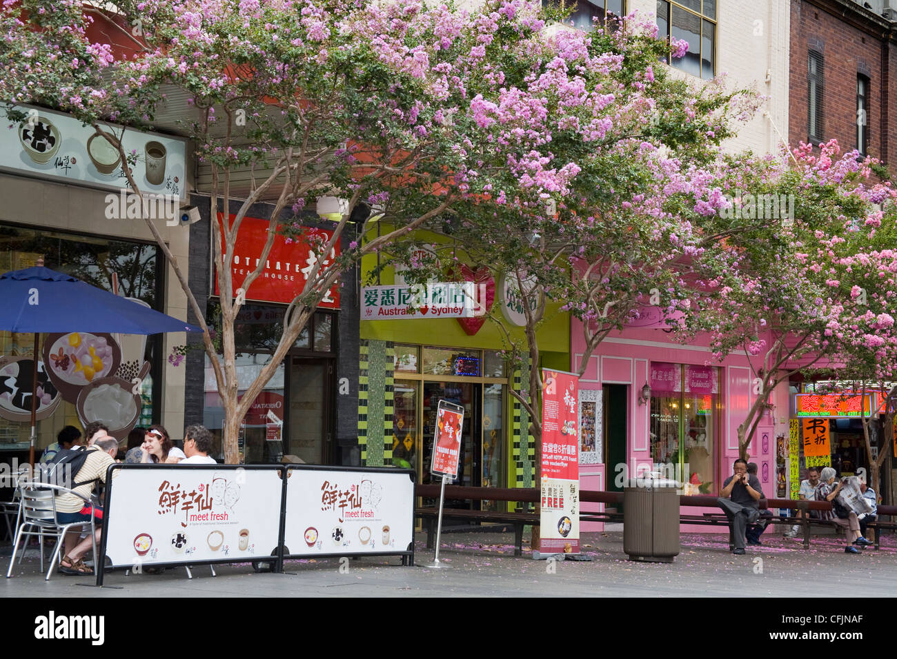 Dixon Street in Chinatown, Central Business District, Sydney, New South ...