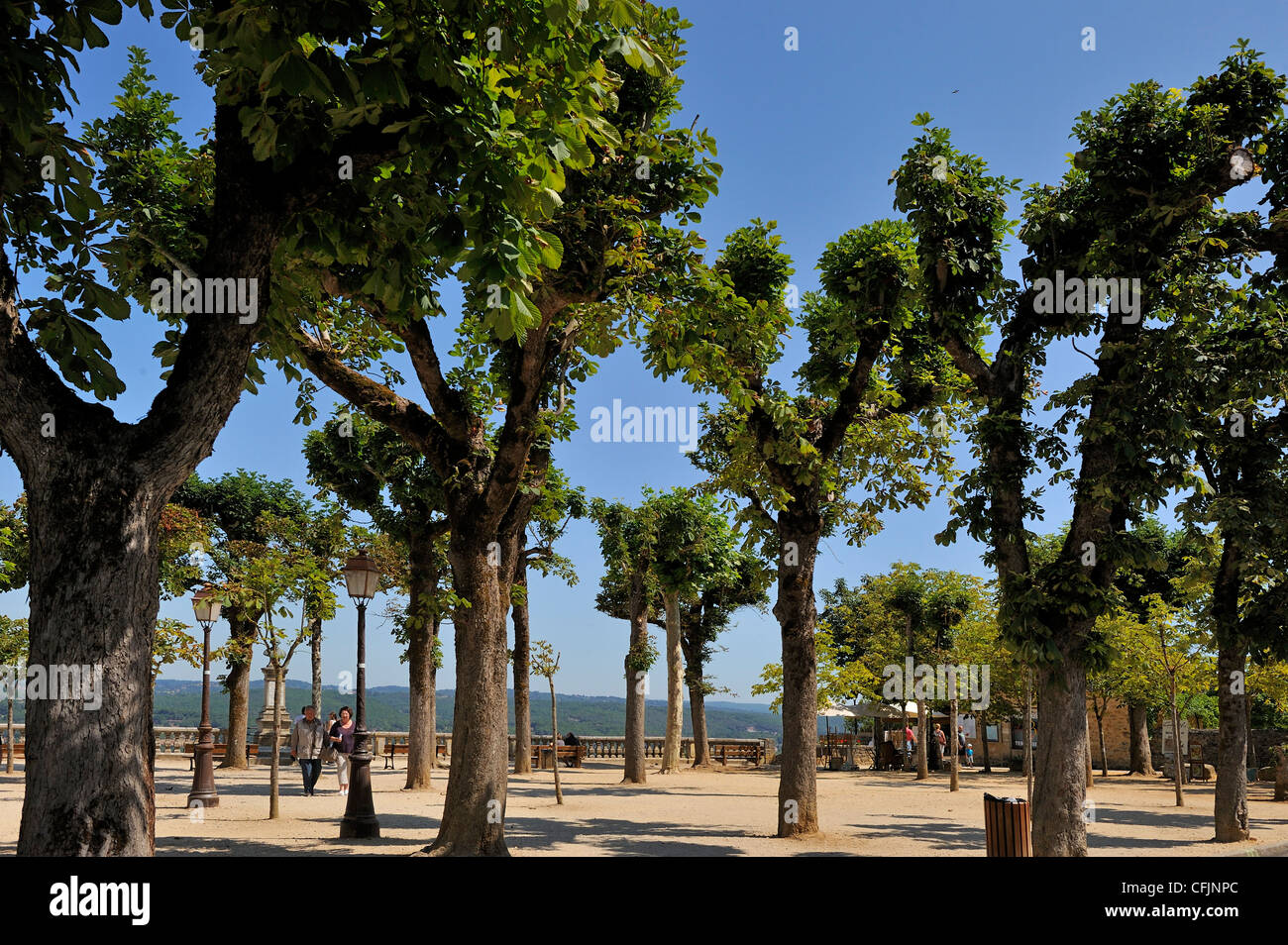 Tree Lined Promenade Area High Resolution Stock Photography and Images ...
