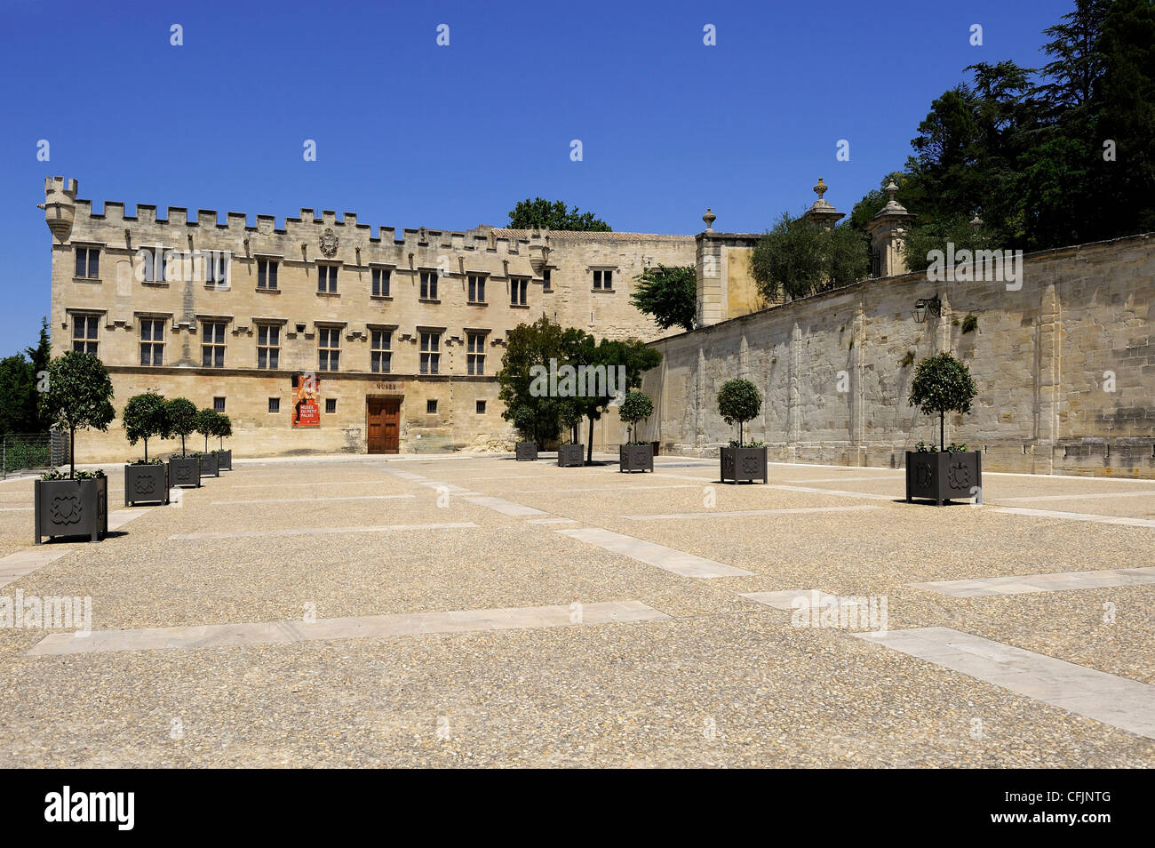 Musee du Petit Palais (Museum), Avignon, Provence, France, Europe Stock ...